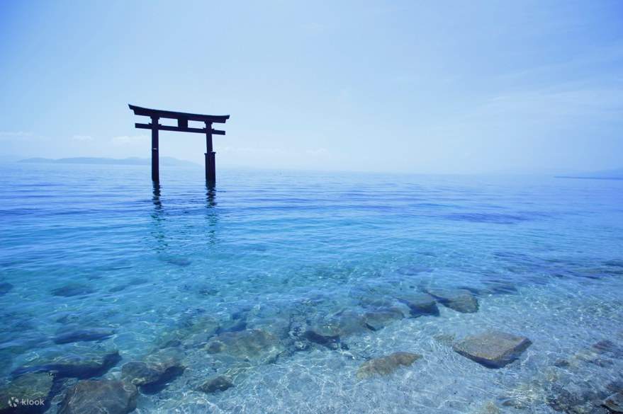 Miho Museum of Art & Former Bamboo Forest & Lake Biwa Shirahige Shrine Day Tour - Klook